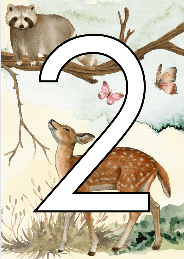 Woodlands numbers A4 - Juffrou 911