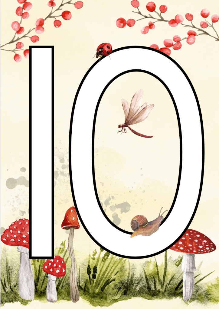 Woodlands numbers A4 - Juffrou 911