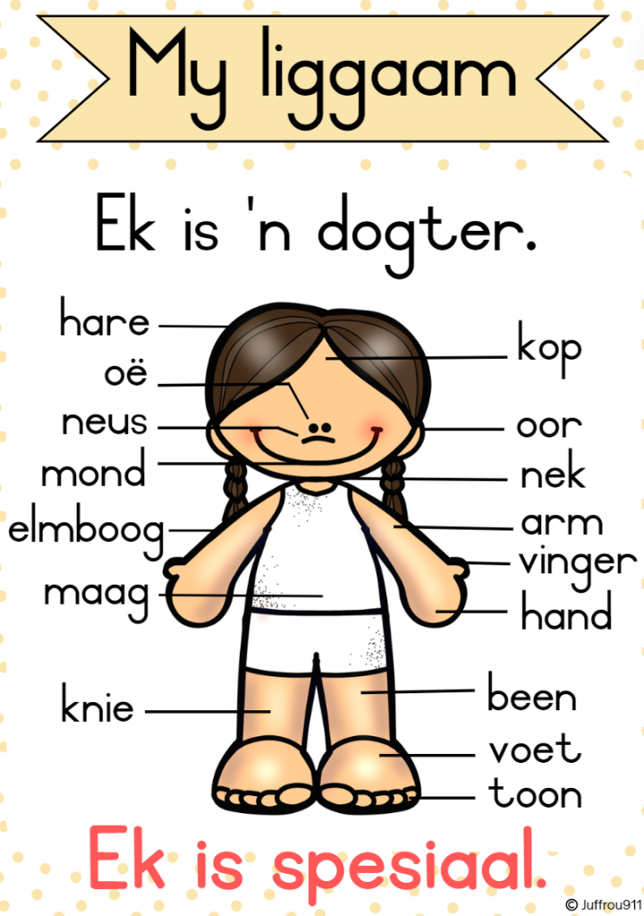 My liggaam pakket 🦶🏻👃🏻🤚🏻 - Juffrou 911