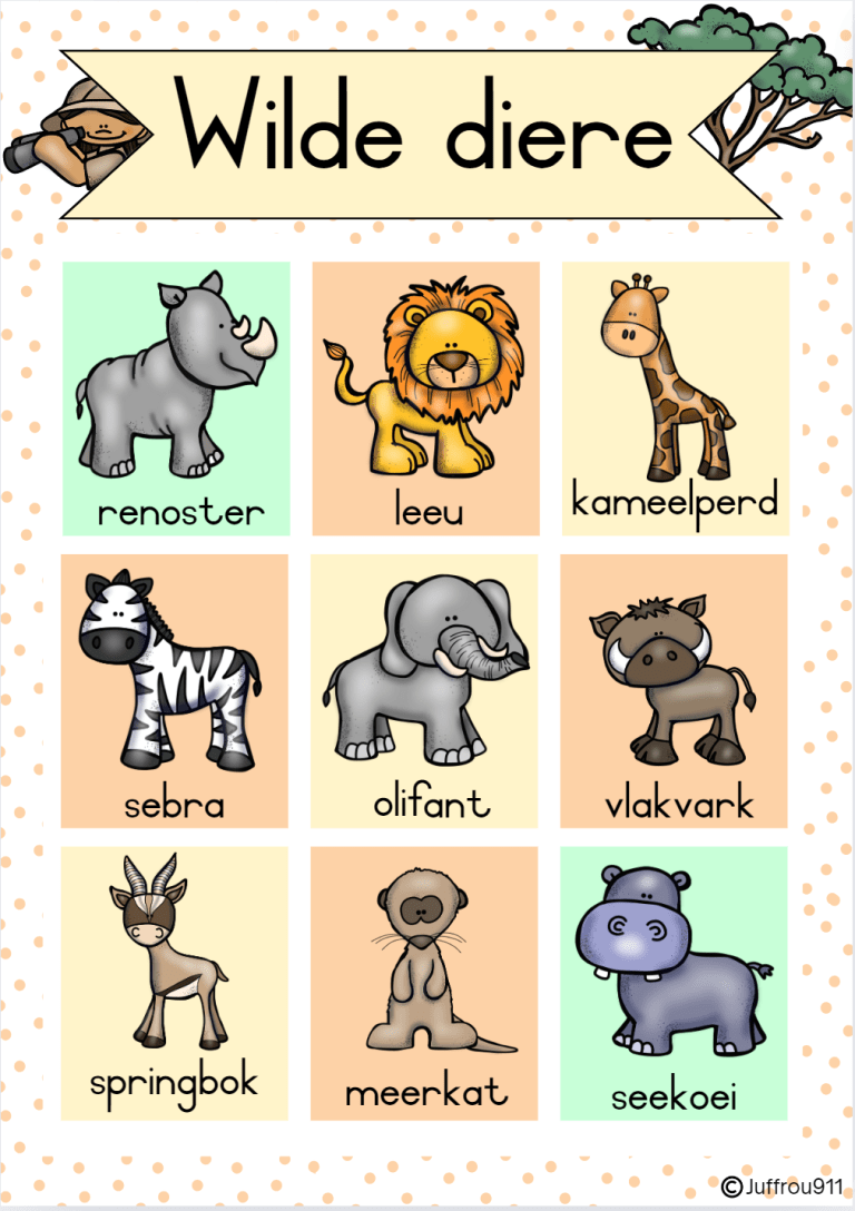 Wilde diere pakket 🦒🦁 - Juffrou 911