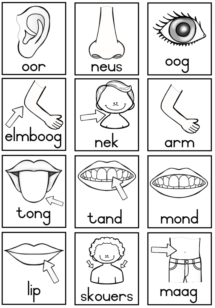 My liggaam pakket 🦶🏻👃🏻🤚🏻 - Juffrou 911