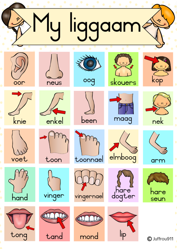 My liggaam pakket 🦶🏻👃🏻🤚🏻 - Juffrou 911