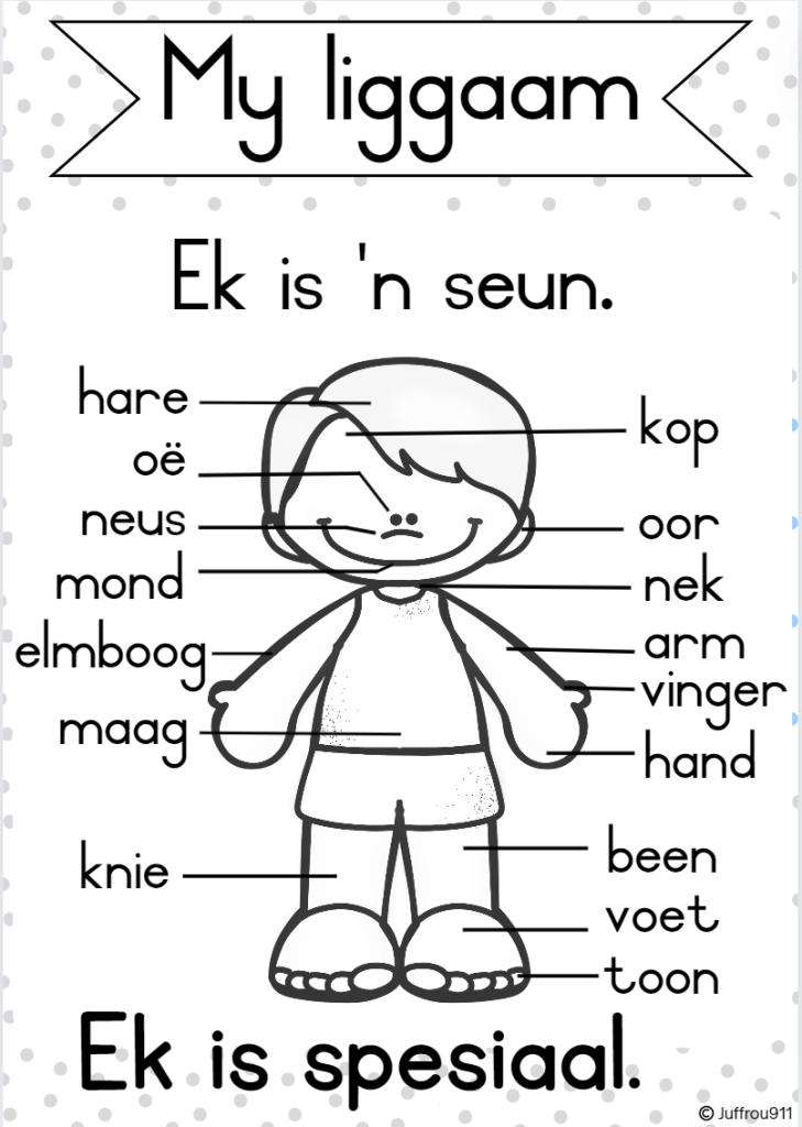 My liggaam pakket 🦶🏻👃🏻🤚🏻 - Juffrou 911