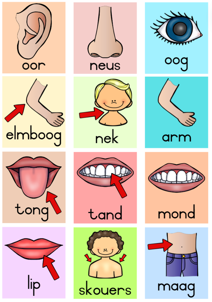 My liggaam pakket 🦶🏻👃🏻🤚🏻 - Juffrou 911