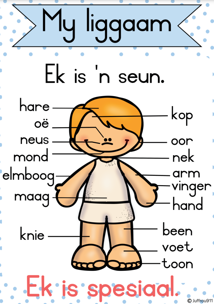 My liggaam pakket 🦶🏻👃🏻🤚🏻 - Juffrou 911