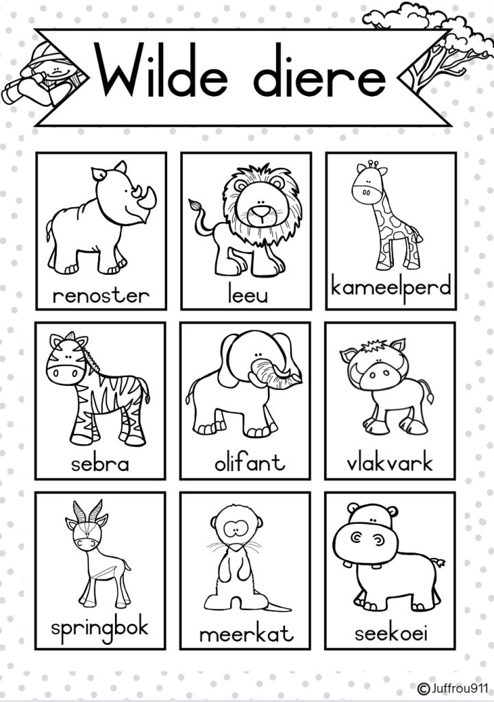 Wilde diere pakket 🦒🦁 - Juffrou 911