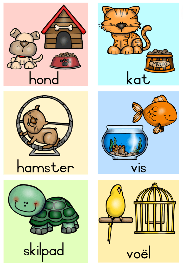 Troeteldiere muurkaarte pakket 🐱🐶 - Juffrou 911