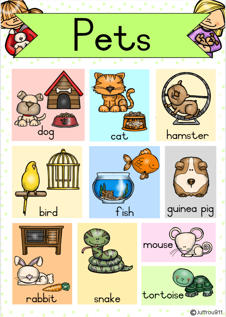 Pets poster package 🐶🐱 - Juffrou 911