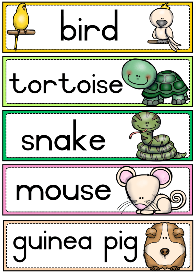 Pets poster package 🐶🐱 - Juffrou 911