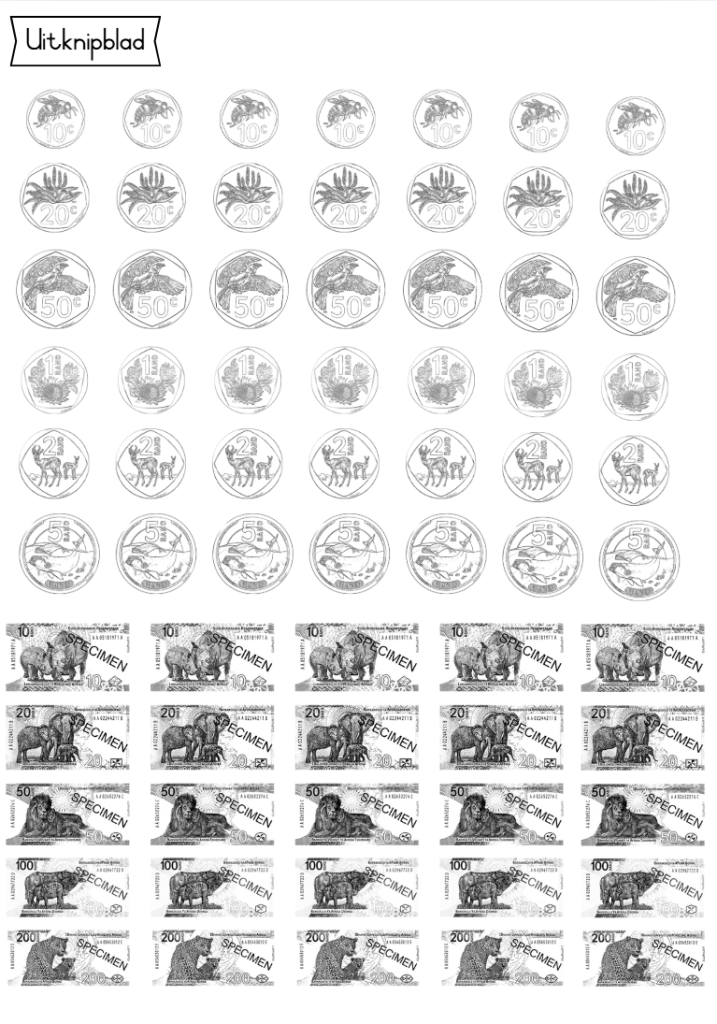 Nuwe Suid-Afrikaanse geld werkkaarte - Juffrou 911